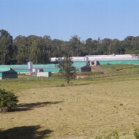 Agricultural Products | Gallery | SA Canvas